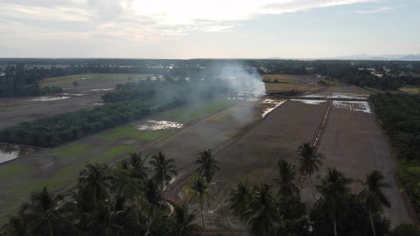 Drone view open burning at paddy field, Stock Footage | VideoHive
