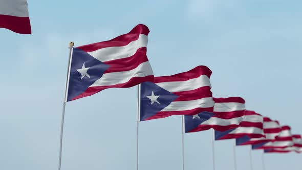 Puerto Rico Row Of Flags , Motion Graphics | VideoHive