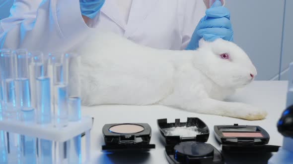 Scientific Experiments on Animals in the Laboratory, Stock Footage