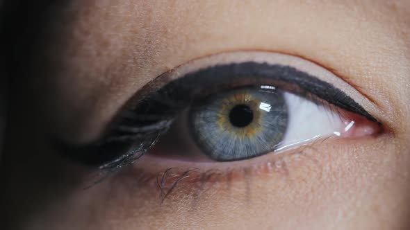 Eye Iris Contracting, Pupil Dilation, From Dark To Light, Stock Footage