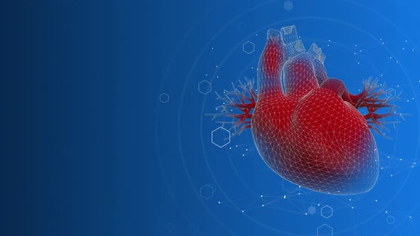 Beating Heart Loop, Motion Graphics | VideoHive
