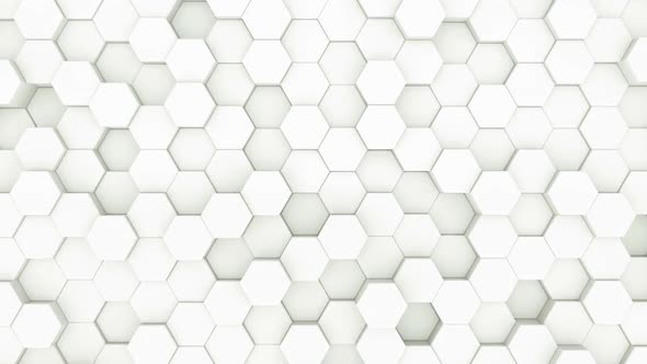 White Hexagon, Motion Graphics | VideoHive