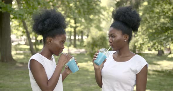 African American Girls Drinking Slash in Park, Stock Footage | VideoHive