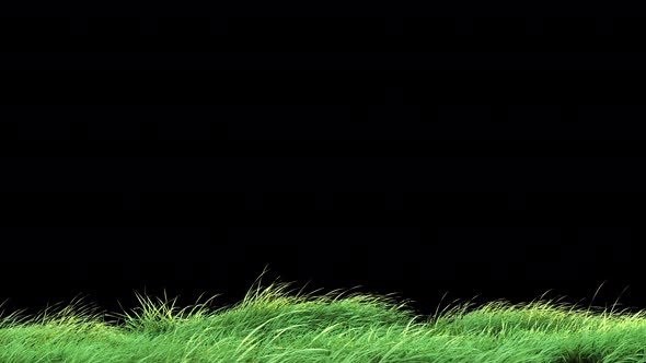 Waving Grass Slow Loop 4K, Motion Graphics | VideoHive