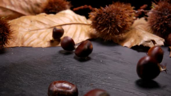 Fresh Chestnuts Falling on Black Surface, Stock Footage | VideoHive