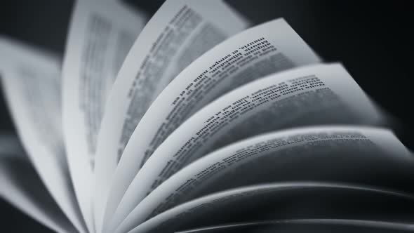 Endless animation of flipping book's pages closeup. Side view. Loopable ...