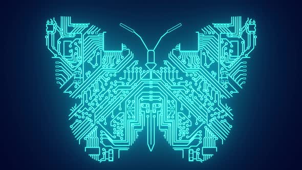 Butterfly Circuit board technology, Motion Graphics | VideoHive