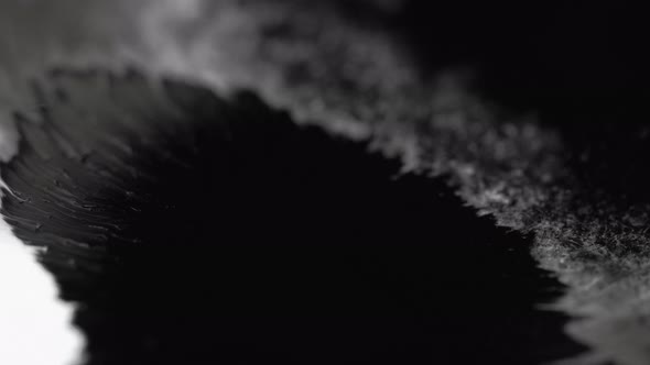 Ink Stain Background Wet Paper Texture Black White, Stock Footage ...