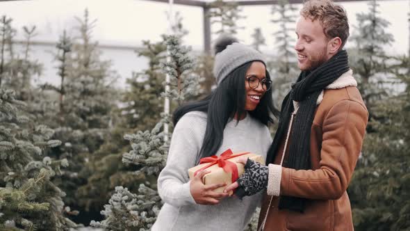 Happy Multiracial Couple Exchanging Gifts at Sprue Trees Market, Stock ...