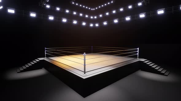Sports Wrestling And Boxing. Sport 4K Professional Background Animation ...