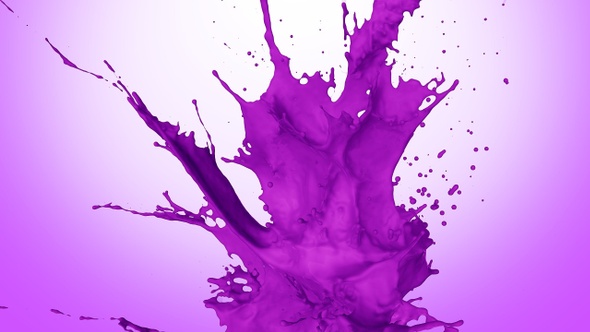 Purple Paint Splash, Motion Graphics | VideoHive