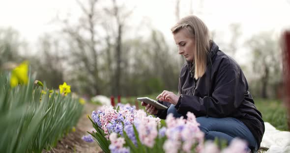 Female Researcher Walking While Examining Tulips At Field, Stock Footage