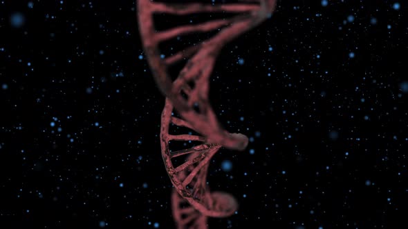 Dna, Motion Graphics | VideoHive