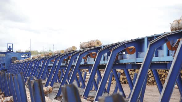 Automated Log Sorting Line. Wheel Loader and Automatic Sorting Logs ...