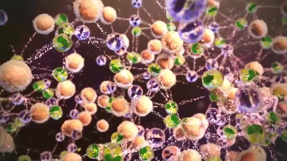 Cell and bacteria interactions 3d medical, Motion Graphics | VideoHive