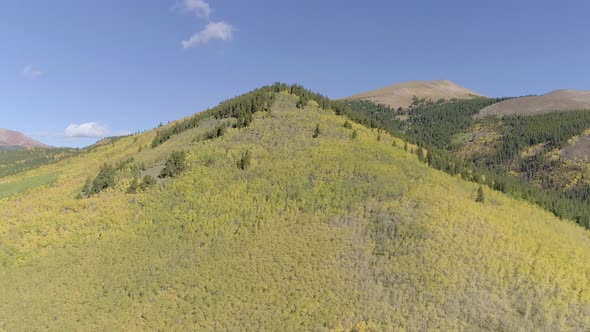 Fall foliage at Boreas Pass, CO, Stock Footage | VideoHive