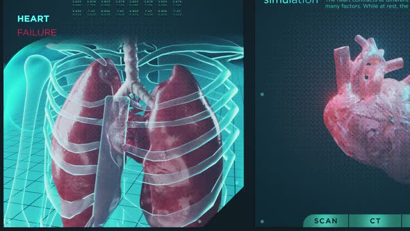 Heart Failure and Functions HUD, Motion Graphics | VideoHive
