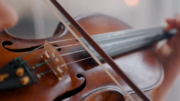 Cinematic Violin, Stock Footage | VideoHive