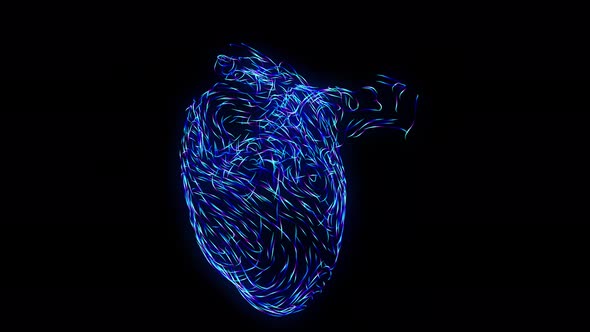 Motion Animation of Human Heart, Motion Graphics | VideoHive