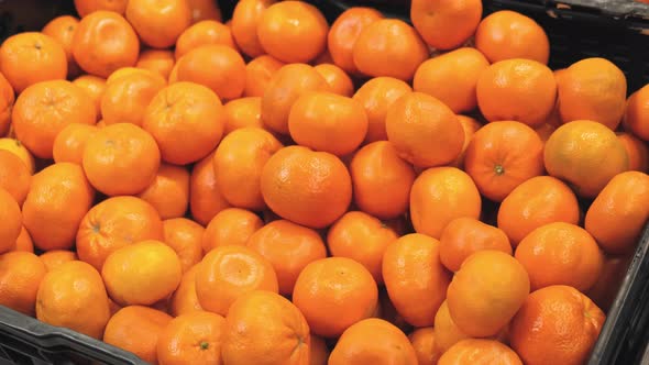 Showcase with Range of Fruits in Supermarket, Stock Footage | VideoHive