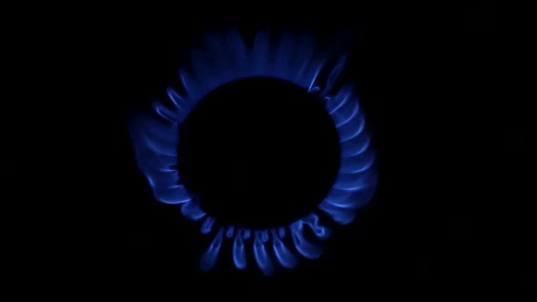Blue Natural Gas Flames. Slow Motion., Stock Footage | VideoHive