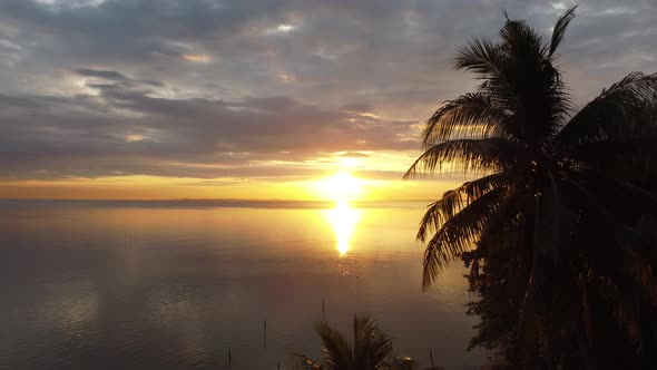 Aerial view of ocean coconut tree, Stock Footage | VideoHive