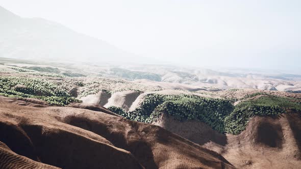 Aerial View of the Sahara Desert, Motion Graphics | VideoHive