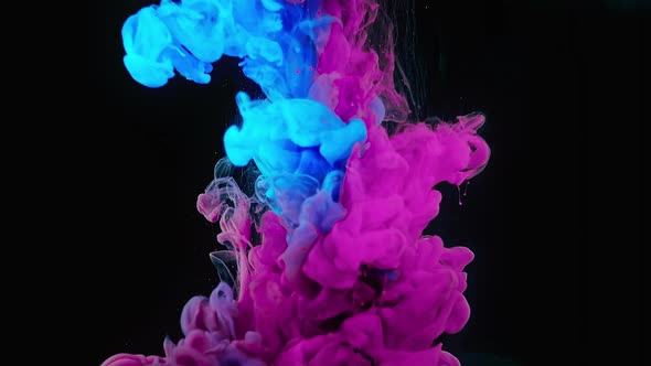 ink, Stock Footage | VideoHive
