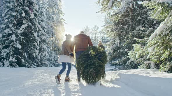 Family Running with Christmas Tree, Stock Footage | VideoHive
