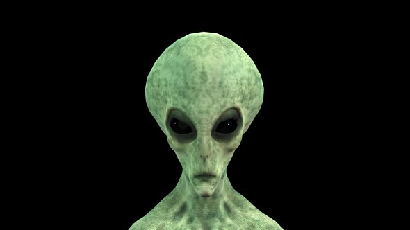 Green Alien Blinking, Motion Graphics | VideoHive