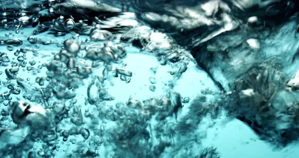 Water drips into a blue water surface - white background, Stock Footage