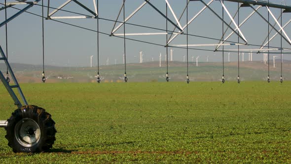 Pivot Irrigation On A Vegetable Field With Turbines In The Background ...
