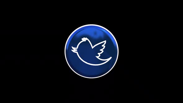 Icon Twitter, Motion Graphics | VideoHive