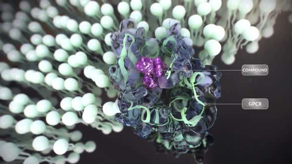 Microbiology Medical Animation of G Protein Coupled Receptors, Motion ...