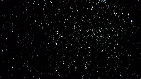 Snow Falls From The Sky, Stock Footage | VideoHive