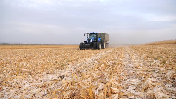Modern Tractor Transporting Corn Cargo at Field During Harvesting ...