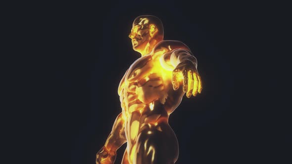 Golden Bodybuilding Trophy 4k, Motion Graphics | VideoHive