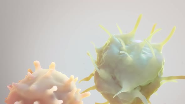 3D Animated Immune Cells Destroy Cancer Cells, Motion Graphics | VideoHive