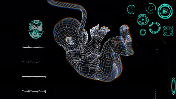 medical Interface, unborn child in the womb 3D render, Motion Graphics