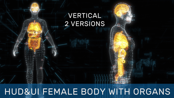 HUD UI Female Body With Organs Pack, Motion Graphics | VideoHive