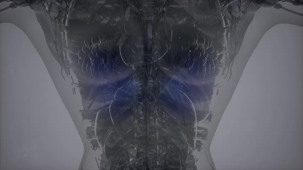 Anatomy Tomography Scan of Human Body, Motion Graphics | VideoHive