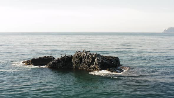 A View From a Drone of a Flock of Seabirds Sitting on Sharp Rocks ...