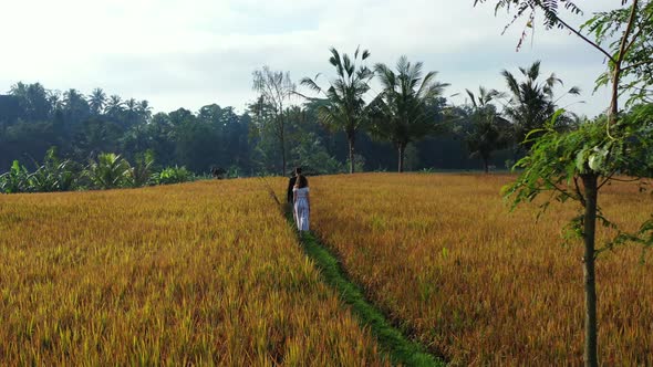 Young couple walking through brown rice fields, exploring natural ...