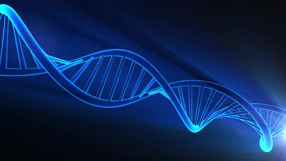 DNA 4K, Motion Graphics | VideoHive