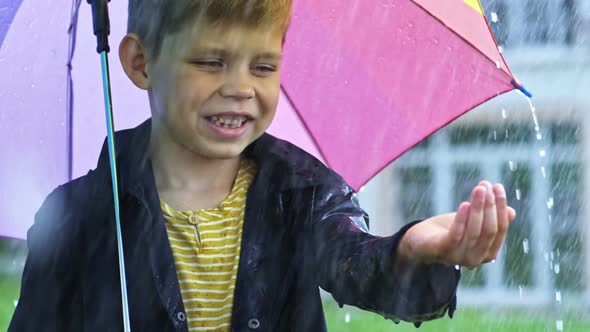 Preschool Boy Catching Raindrops, Stock Footage | VideoHive
