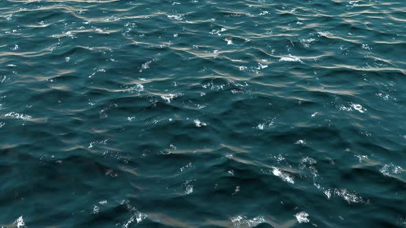 Ocean , Motion Graphics | VideoHive