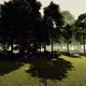 Panorama Of The Forest, Motion Graphics | VideoHive