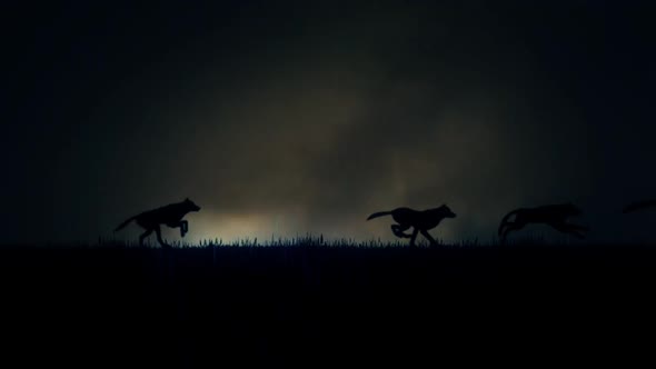 A Pack Of Wolves Running In A Lightning Storm Under Rain, Motion Graphics