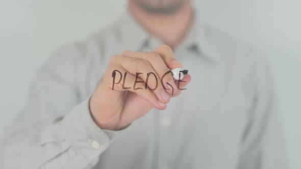 Pledge Writing on Screen with Hand, Stock Footage | VideoHive
