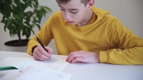 Boy Writing Homework, Stock Footage | VideoHive